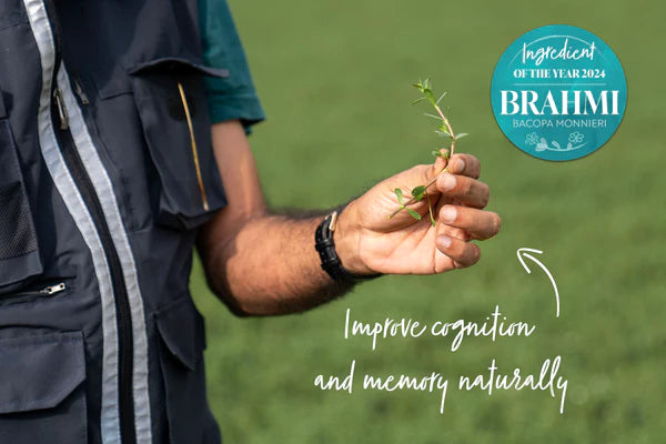 Natural nootropic unveiled as the super ingredient for 2024 by Viridia ...